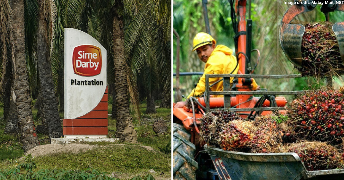 Sime Darby Plantations aims to employ only local workers by 2027 by ...