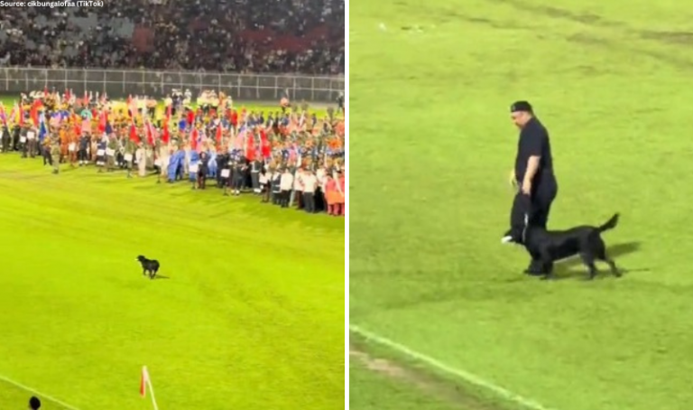 Video of K9 dog running around the field during the national parade in ...