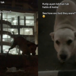 Jackson Wang spotted enjoying mamak food including Maggi Goreng and ...